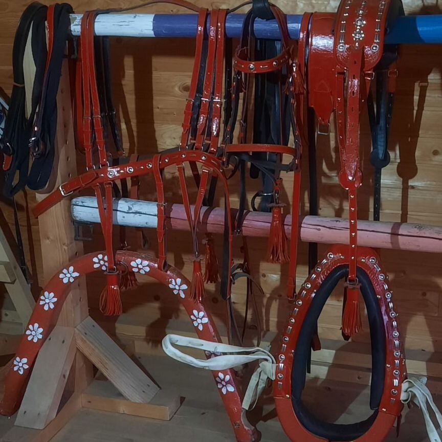 Русская упряжь на пони