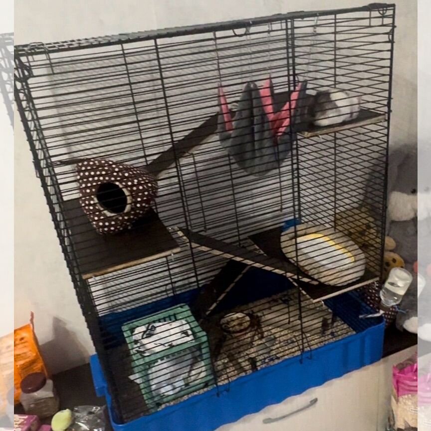 Клетка для грызунов большая бу