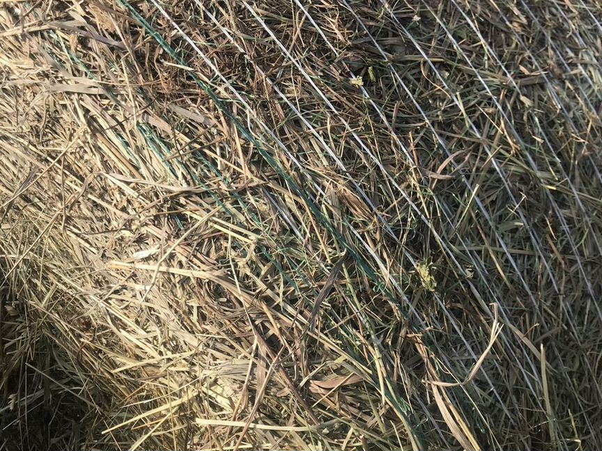 Сено в рулонах, 300-350кг