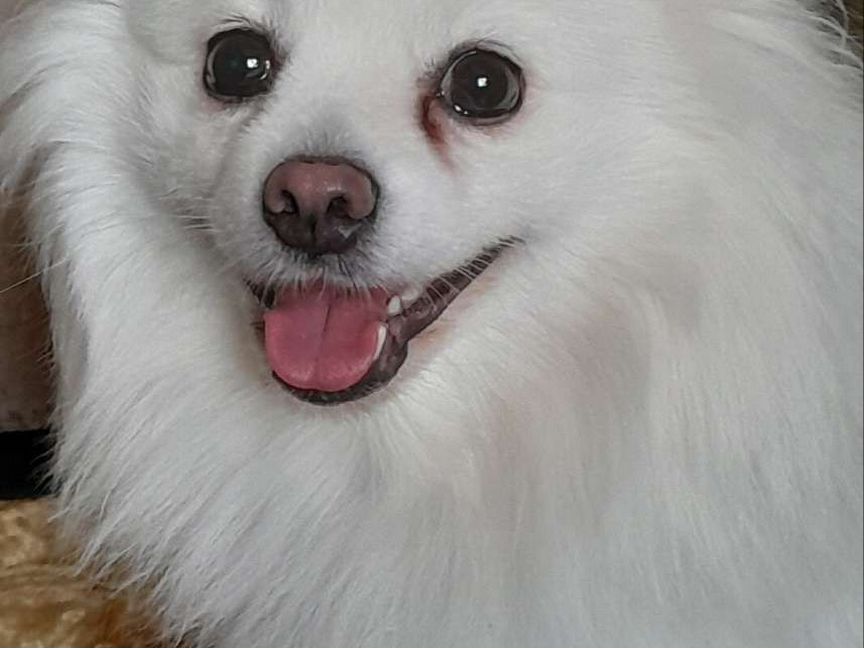 Девочка.2.5 года