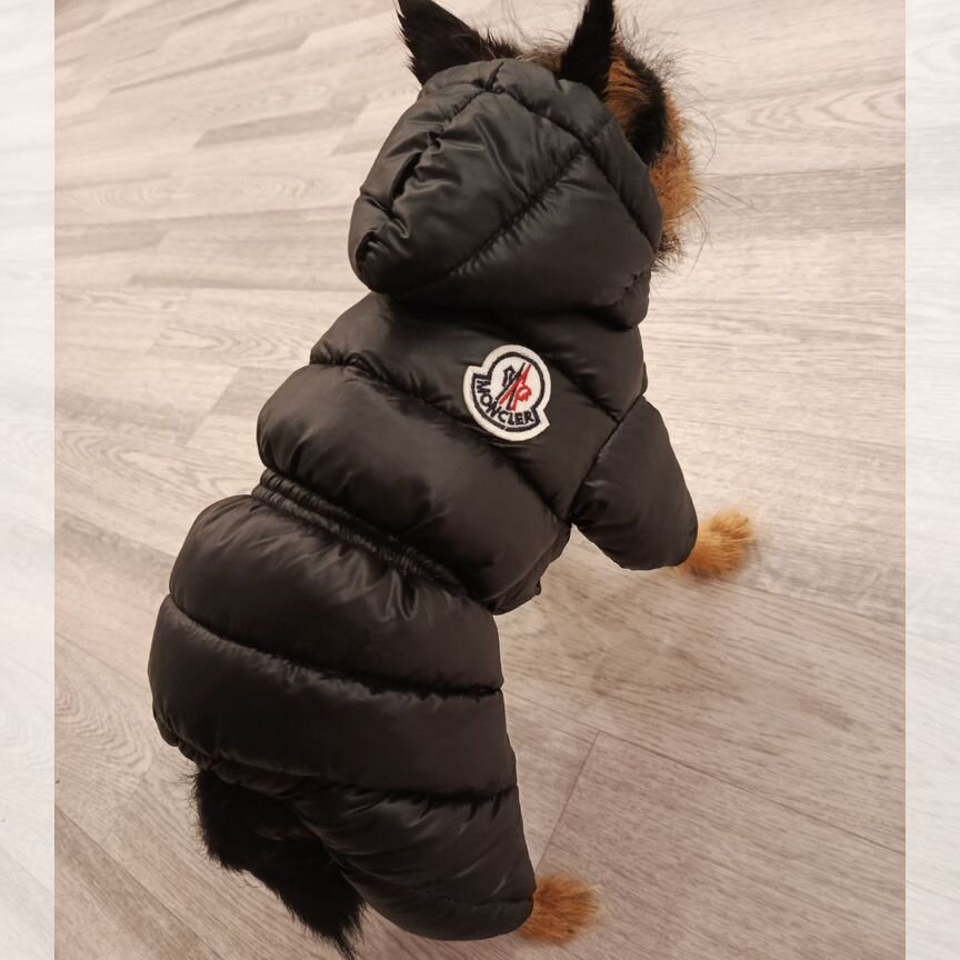 Одежда для маленьких собак