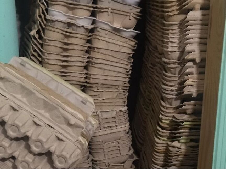 Лоток, упаковка для яиц