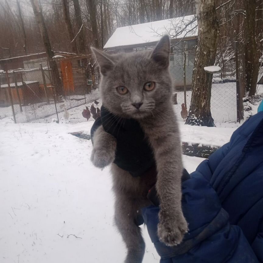 В СНТ найден малыш