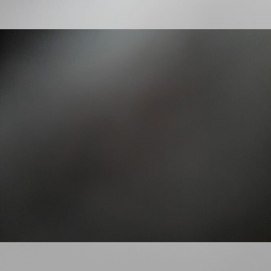 Британский короткошёрстный котёнок