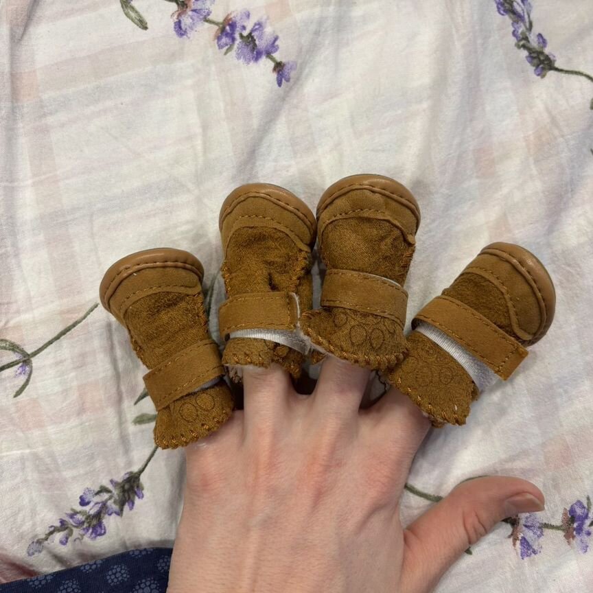 Обувь для маленьких собак