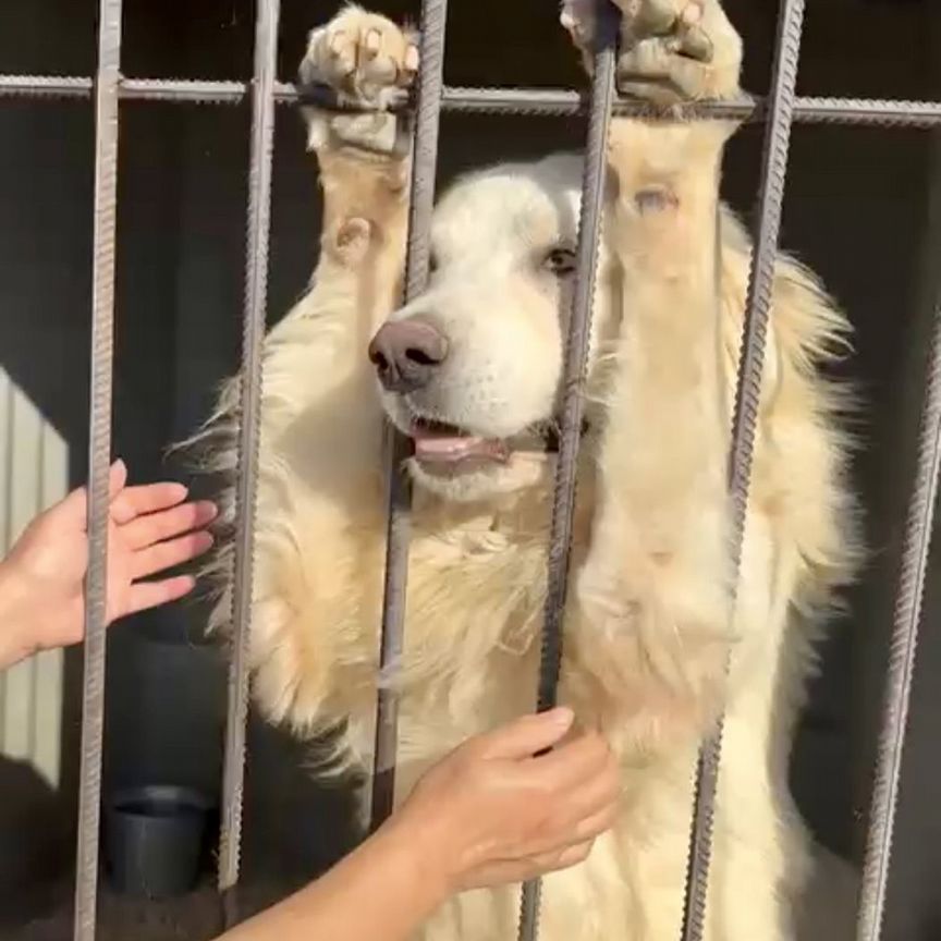 Малыш ждет заботливую семью