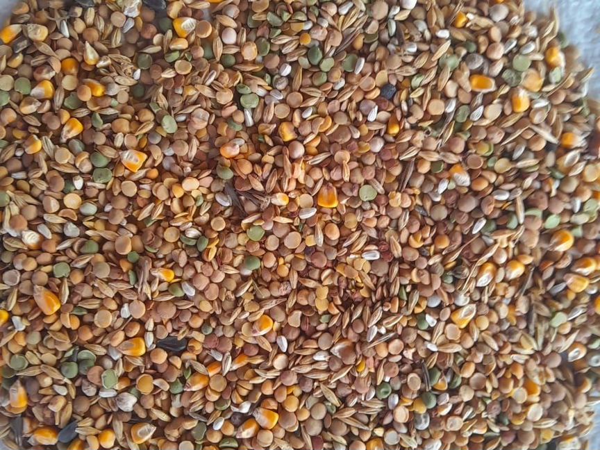 Зерносмесь (Разная Фасовка )