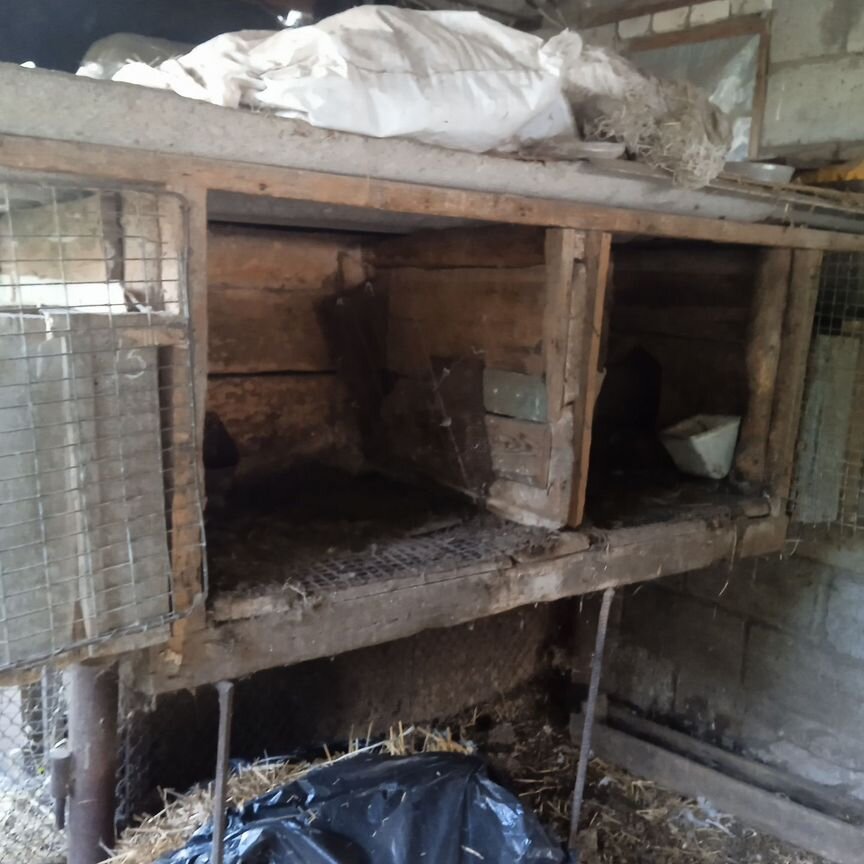 Клетка для кроликов