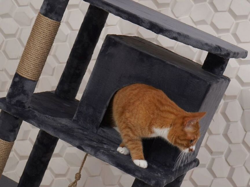 Когтеточка Домик для кошек / Игровой комплекс