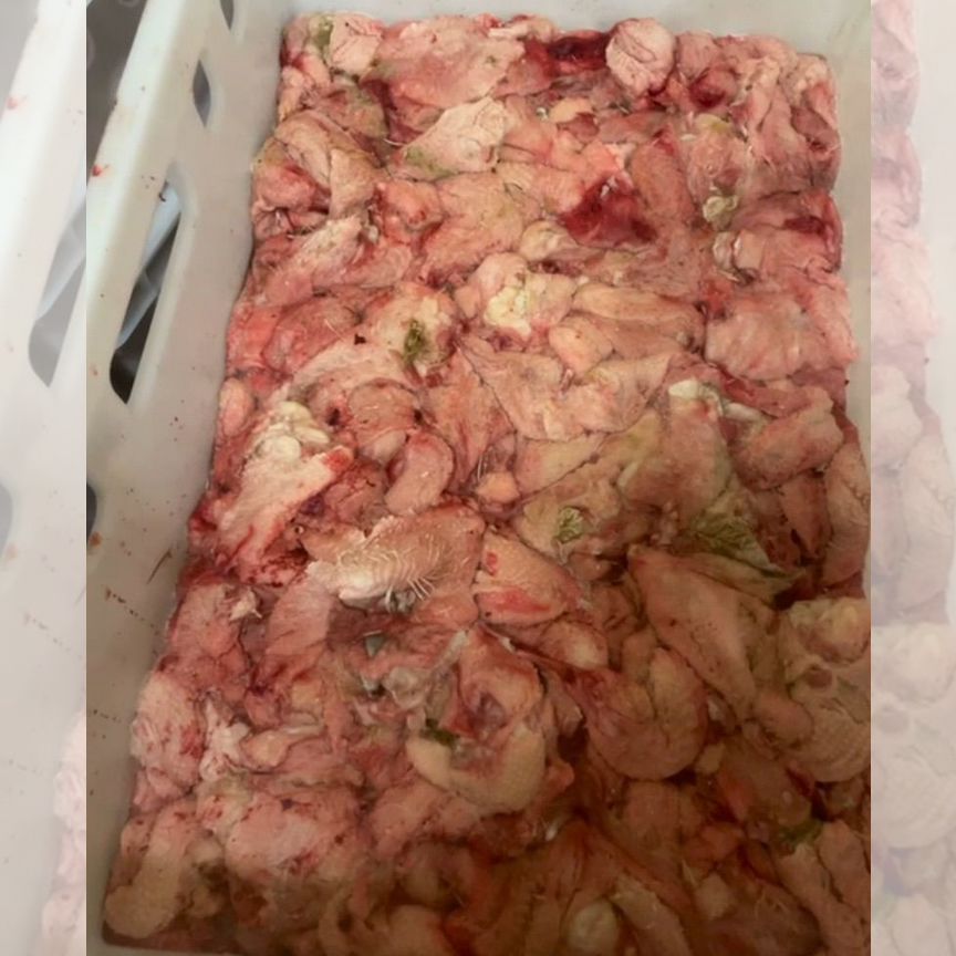 Корм для собак