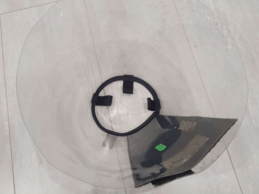 Воротник для собак