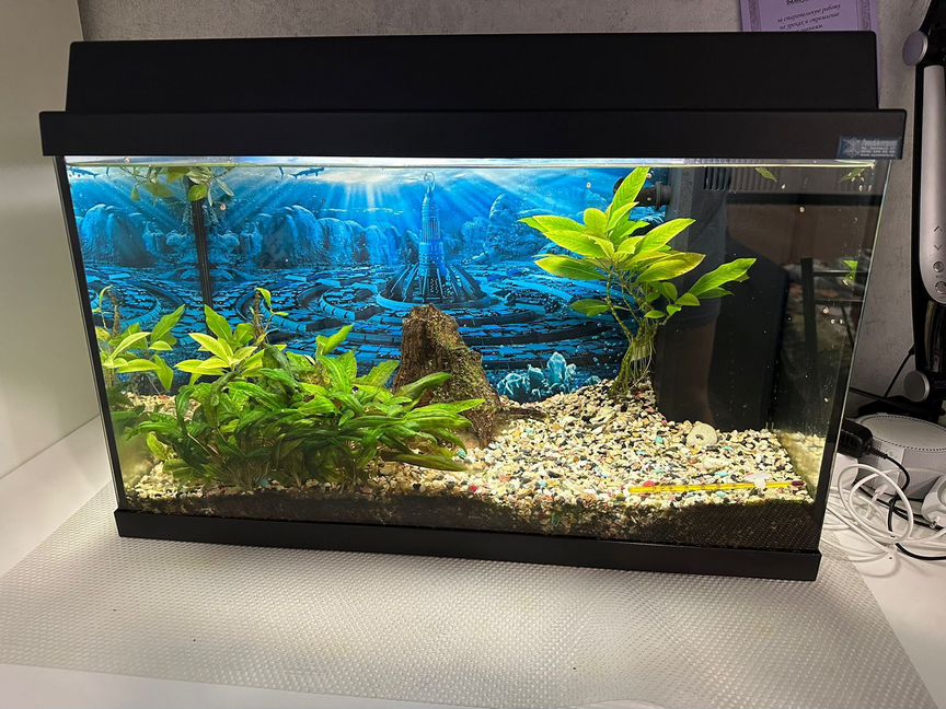 Аквариум целиком