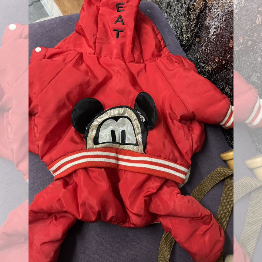 Одежда для собак мелких пород бу