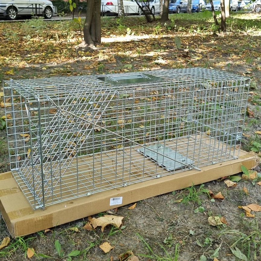 Кошколовка в аренду