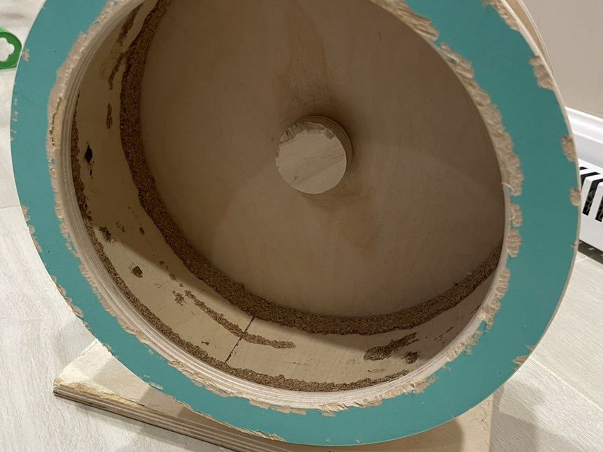 Колесо для шиншиллы в дар