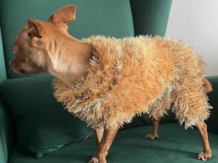 Костюм для собачки