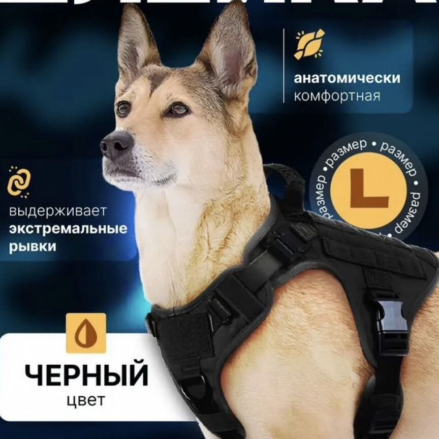 Шлейка для собаки тактическая