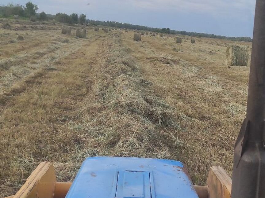 Продам сено 2023 г. в рулонах