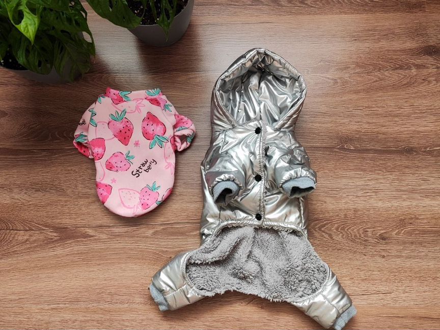 Одежда для собак мелких пород пакетом