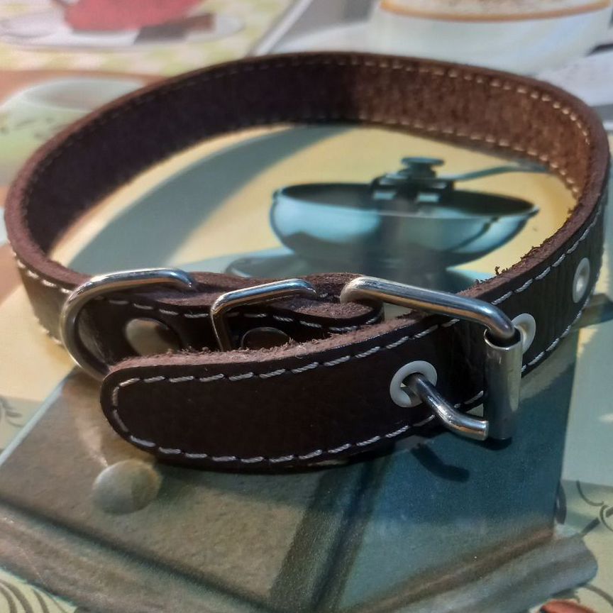 Ошейник для собак