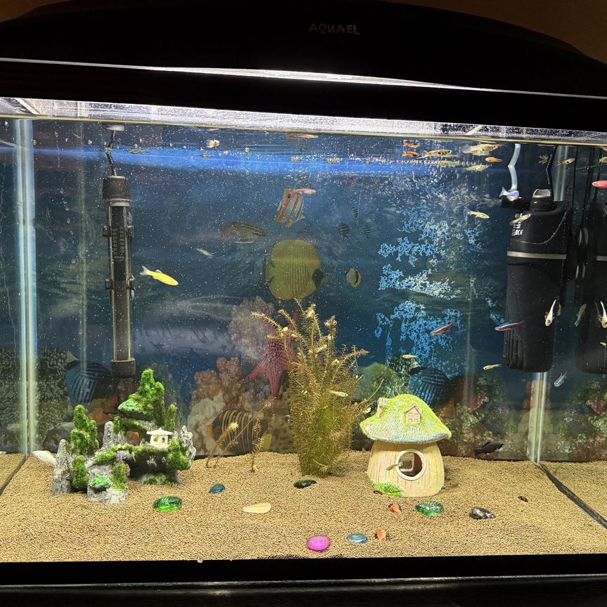 Аквариум