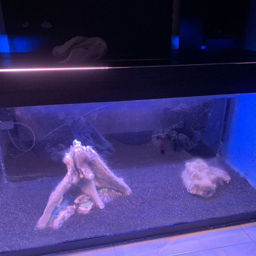 Аквариум 200 литров