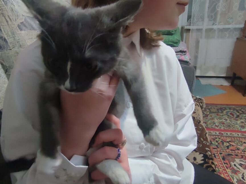 Коть. В самые нежные и добрые ручки