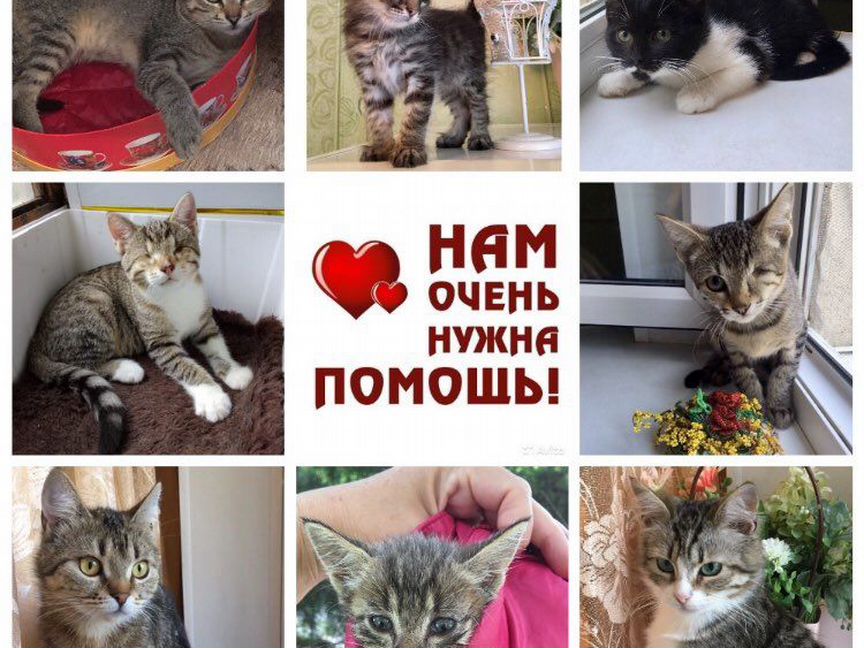 Спасем вместе