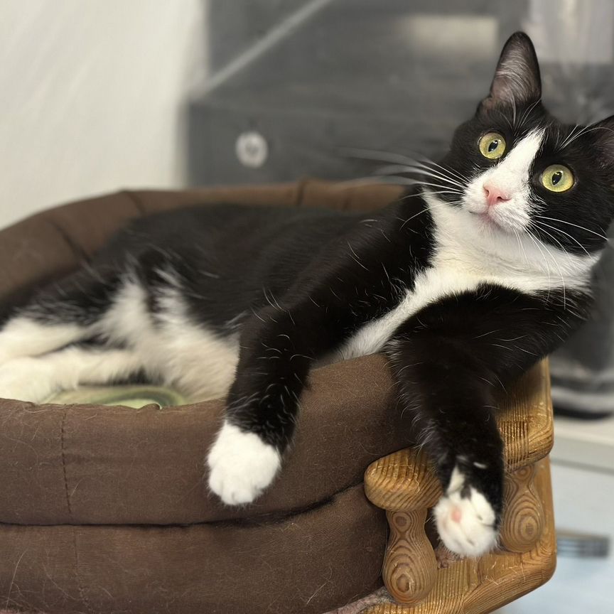 Максим в самые заботливые руки