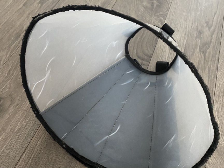 Ветеринарный воротник 245 мм