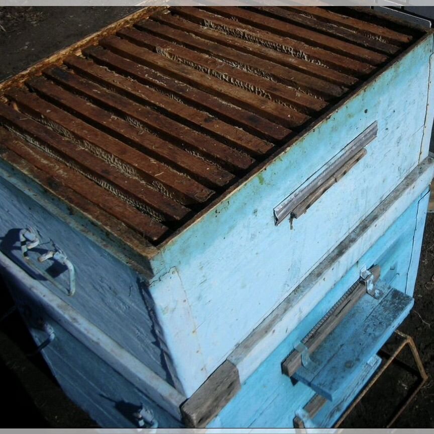 Пчелы и улья