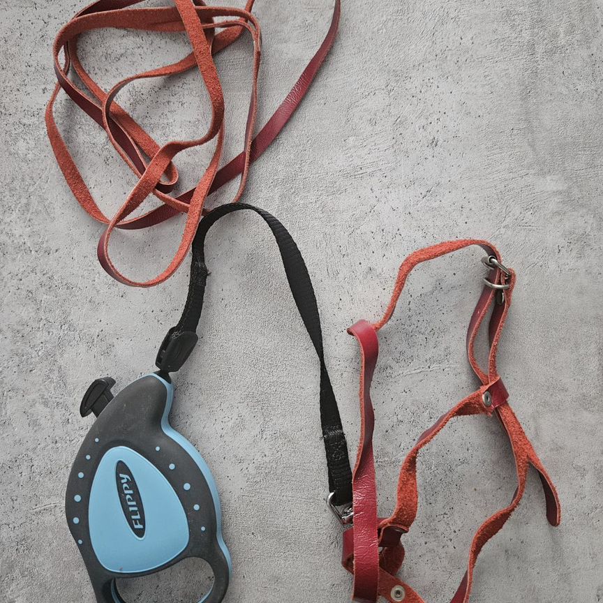 Поводок для маленьких собак