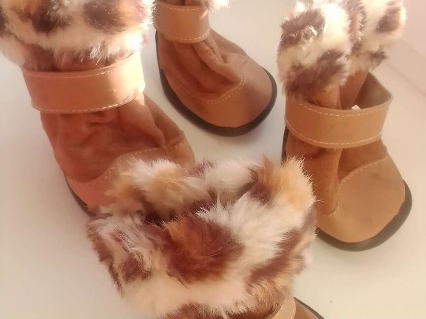 Пинетки сапожки ботинки для собаки