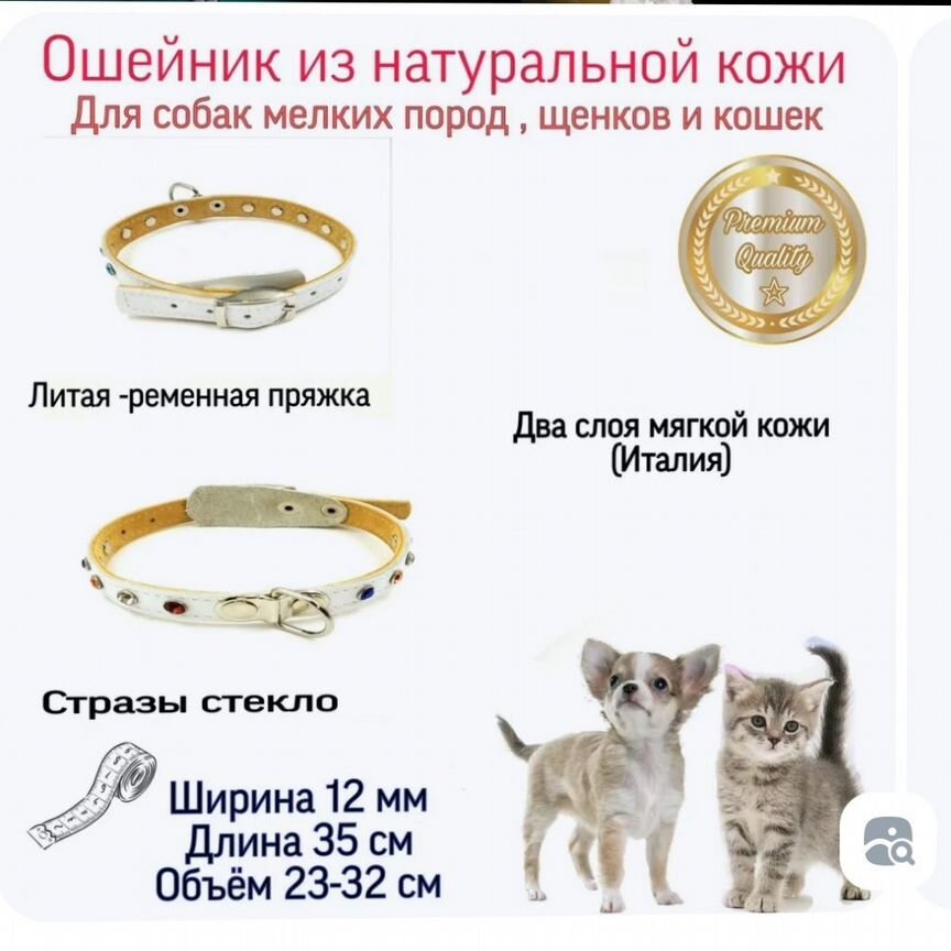 Ошейник и поводок на маленькую собачку