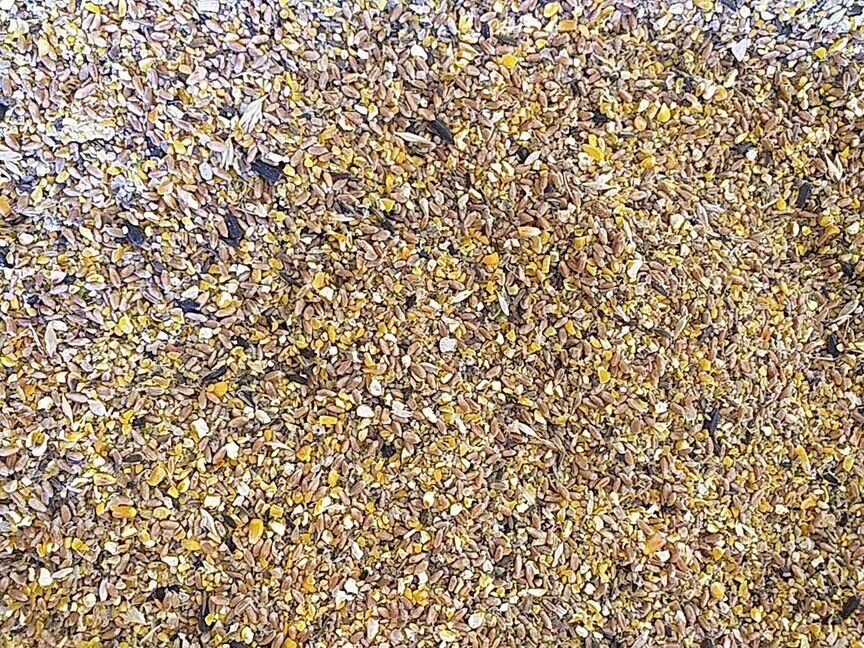 Дробленая Зерносмесь 9 компонентов для Кур Несушек