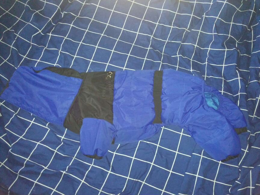 Зимний комбинезон для средней собаки б/у сост хор