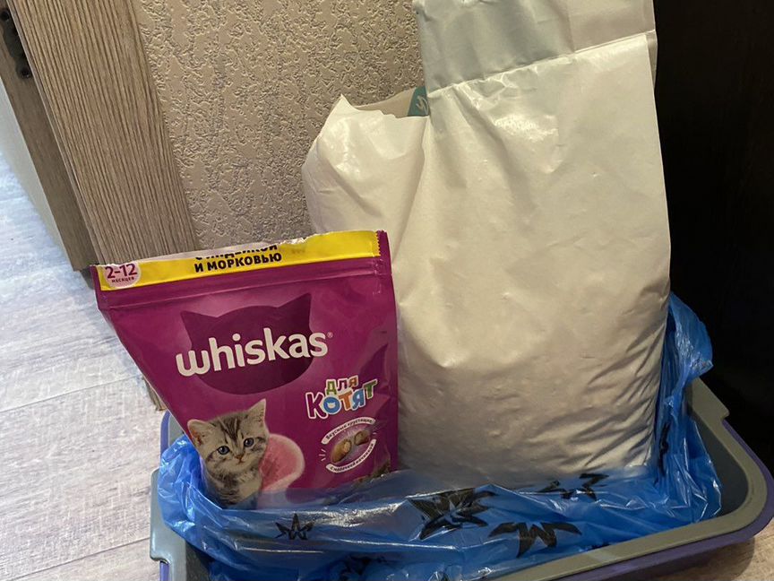 Наполнитель древесный. Корм для котят. Лоток