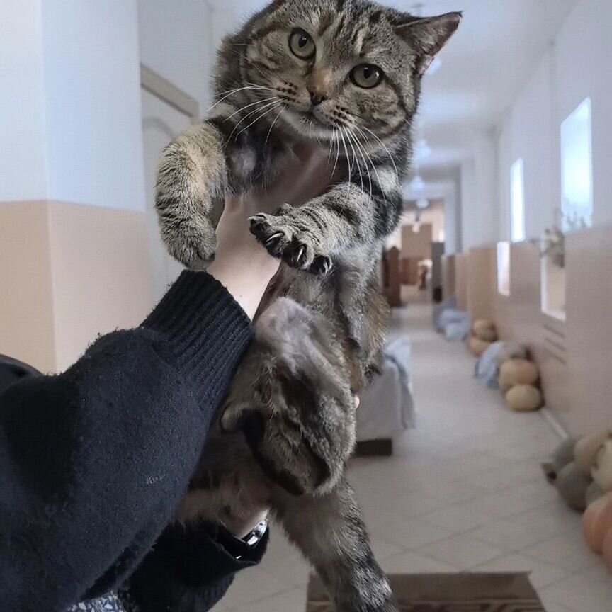 Мозаика