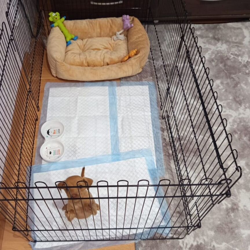 Вольер для собак в квартиру