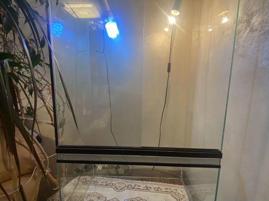 Террариум для хамелеона