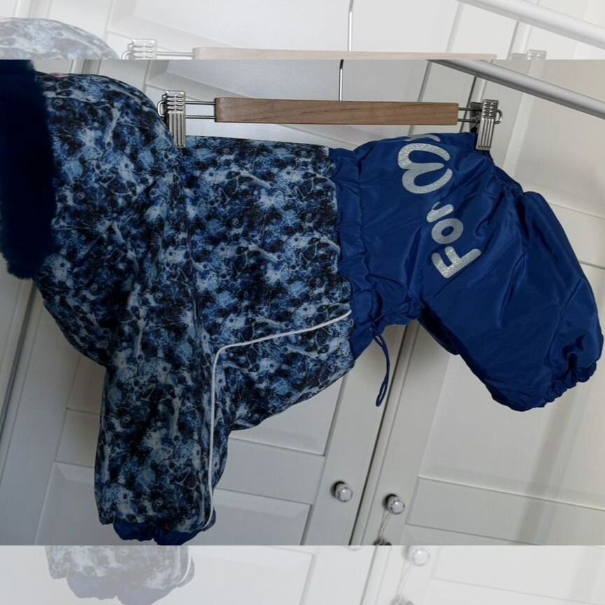 Костюм для собаки