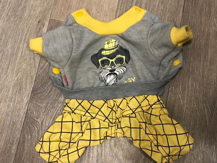 Одежда для собак