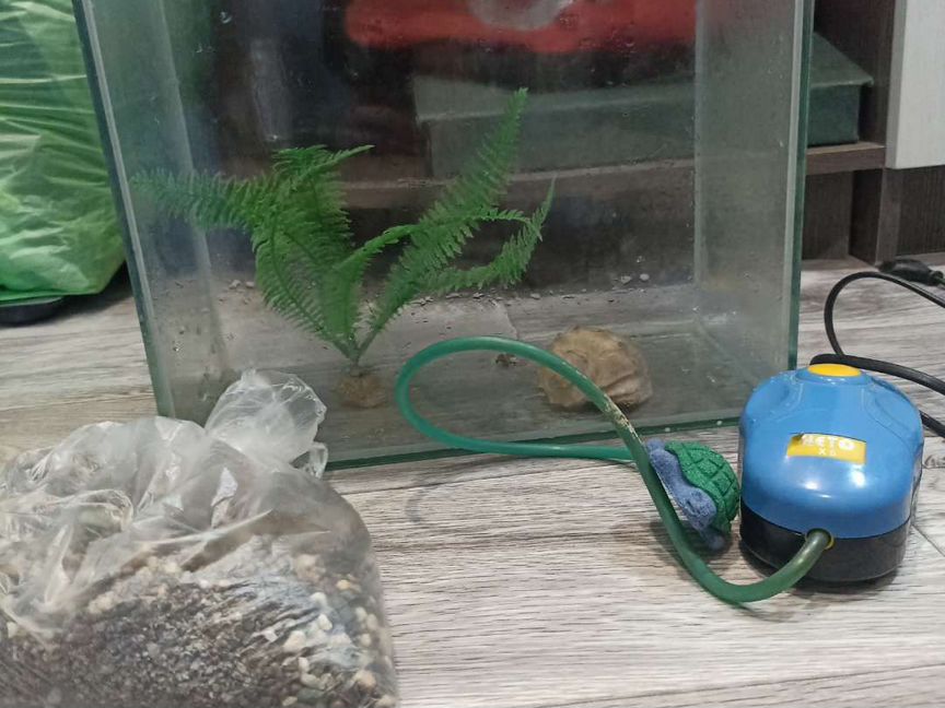 Аквариум 10 литров