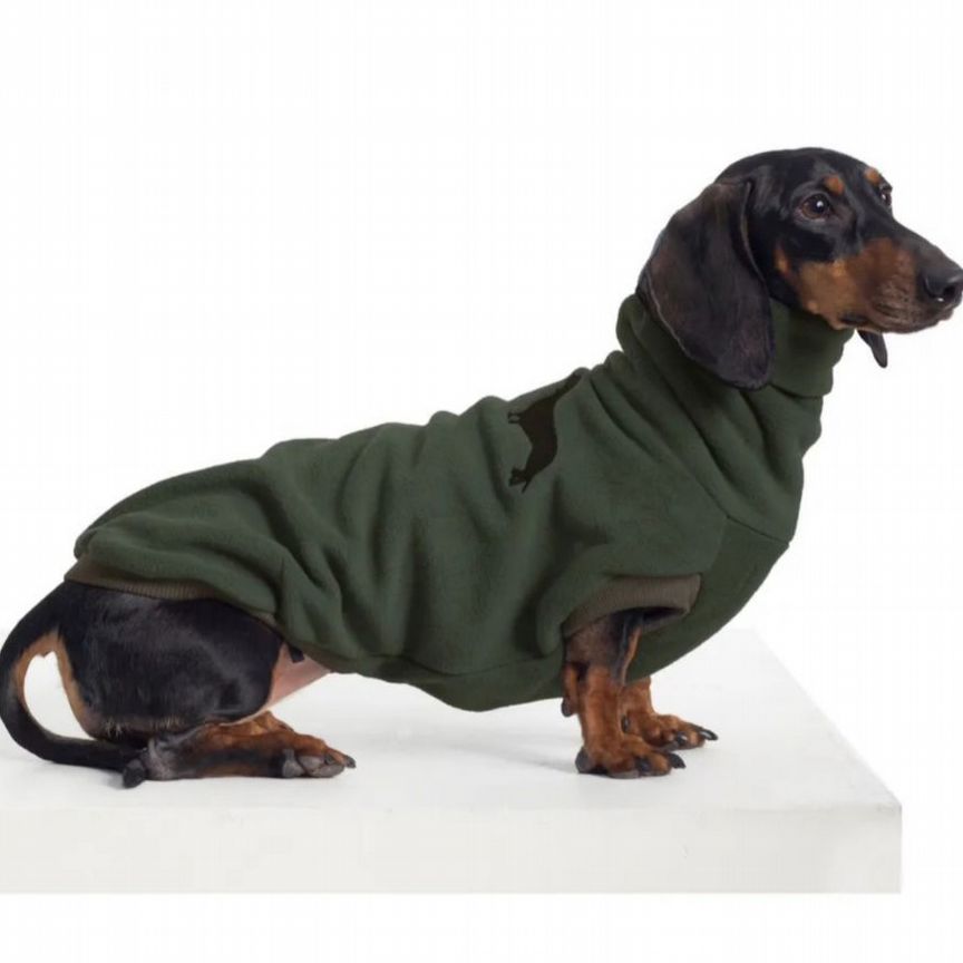 Жилетка из флиса на таксу