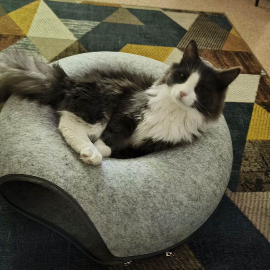 Лежанка для кошек