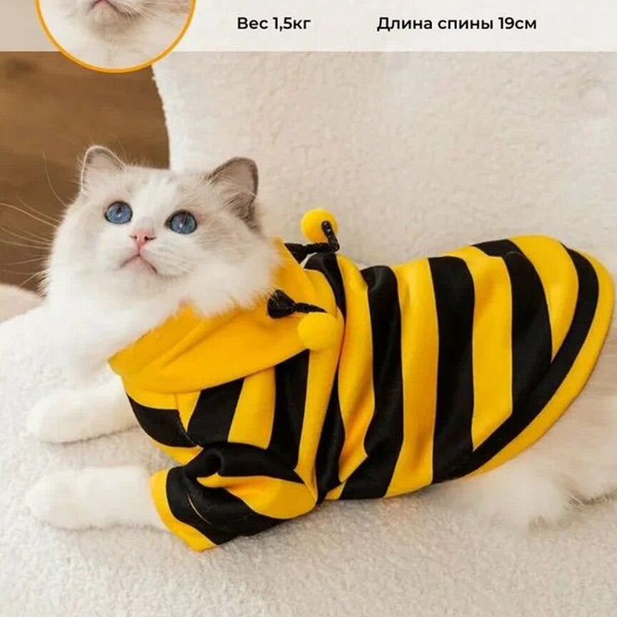 Костюм для собаки