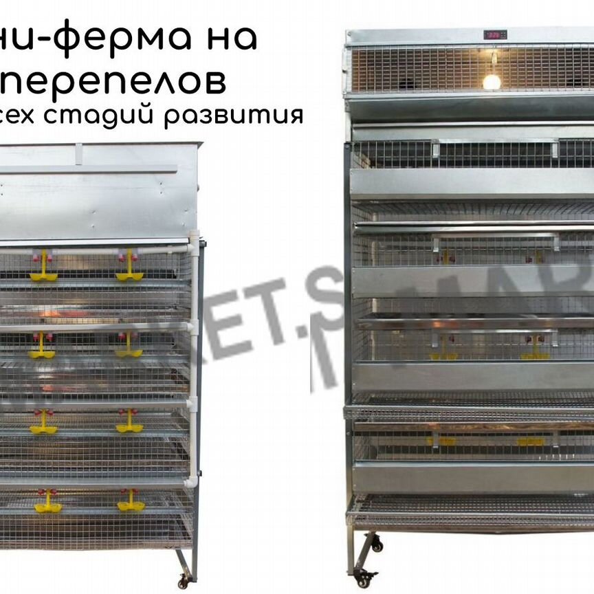 Мини ферма для перепелов бф 300 Москва