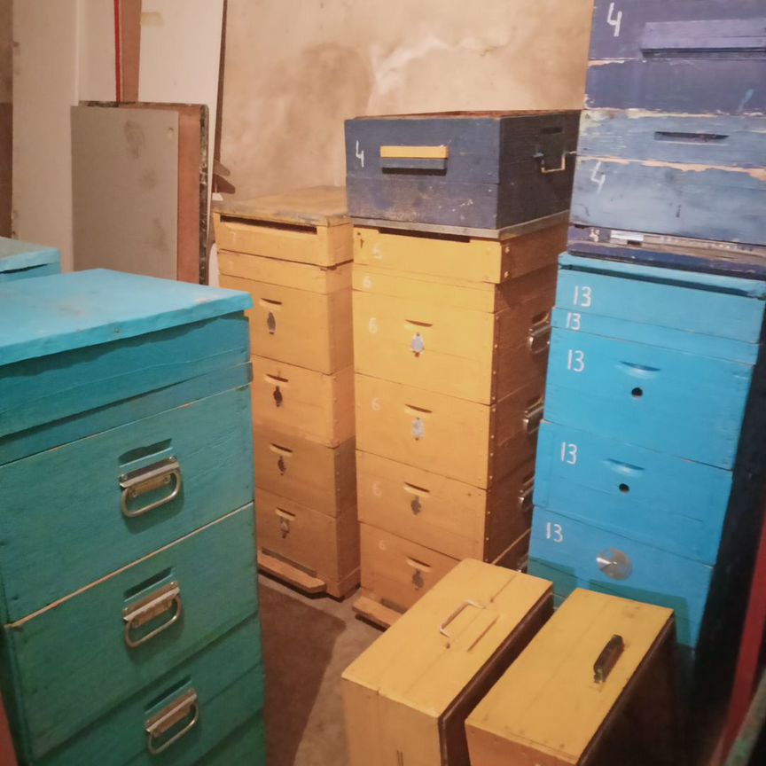 Ульи для пчел