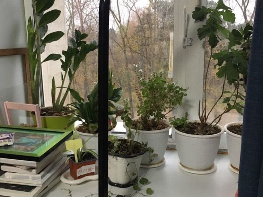 Стойка для грумерского стола