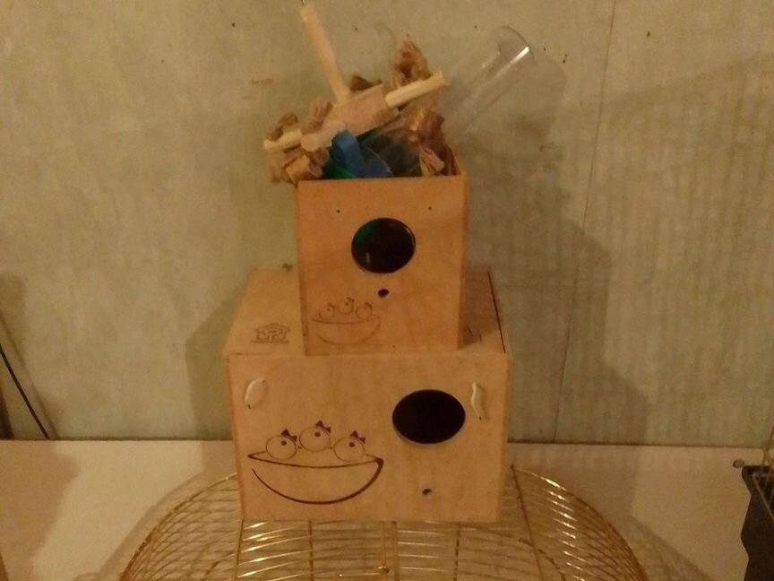 Дуплянки, гнездо для размножения